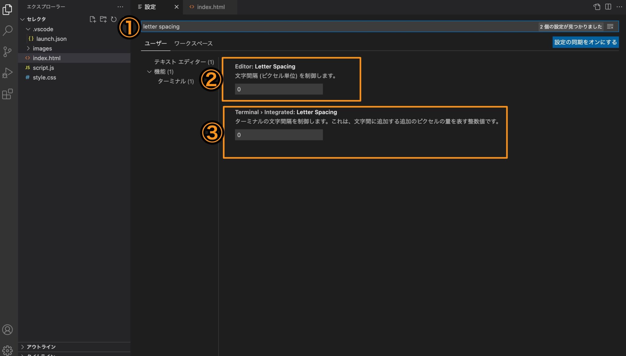 VSCode フォントファミリやサイズ等を変更する方法 | logsuke